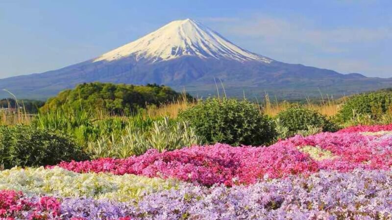 Private Mount Fuji ,Hakone Sightseeing Day Trip With Guide - Oshino Hakkai: Scenic Views and Traditional Thatched-Roof Buildings