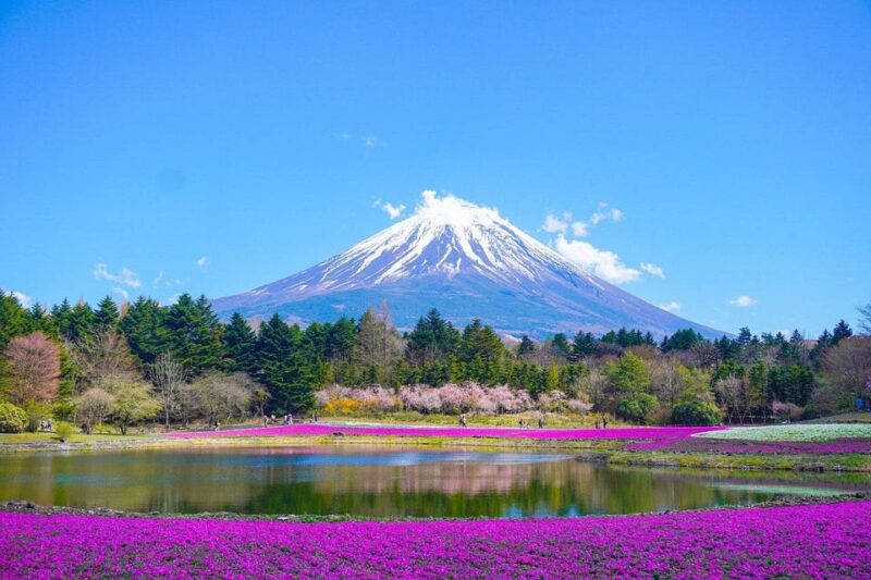 Private Mount Fuji ,Hakone Sightseeing Day Trip With Guide - Frequently Asked Questions