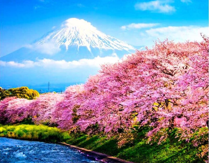 Private Mount Fuji Sightseeing Day Trip With English Guide - Inclusions
