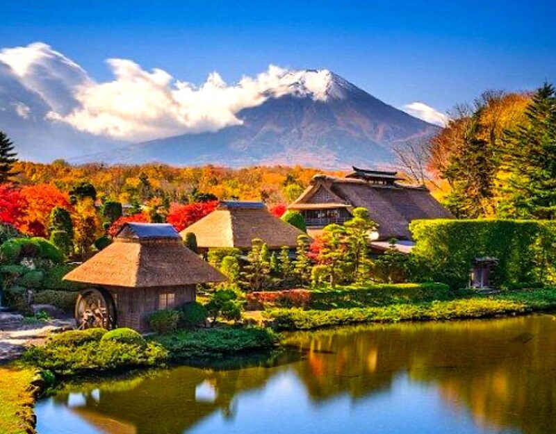Private Mount Fuji Sightseeing Day Trip With English Guide - Booking Information