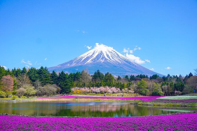 Private Mount Fuji Tours With Car Pickup From Tokyo - Key Points