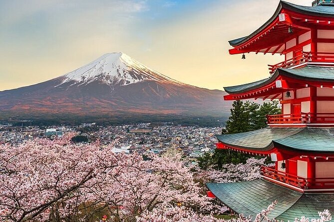 Private Mount Fuji Tours With Car Pickup From Tokyo - Meeting and Pickup