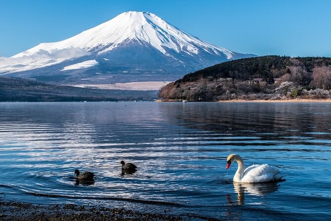 Private Mount Fuji Tours With Car Pickup From Tokyo - Exploring Mount Fuji