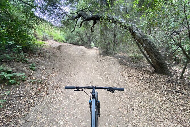 Private Mountain Biking Adventure in San Diego - Who This Tour Is Perfect For