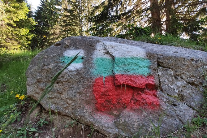 Private Mountain Biking in Vitosha from Sofia - Authenticity and Audience Suitability