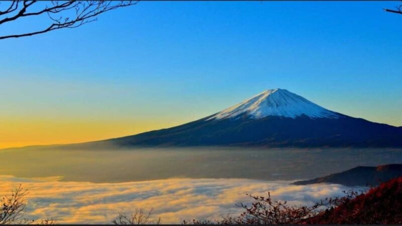 Private Mt. Fuji and Hakone Day Trip With Guide - Key Points