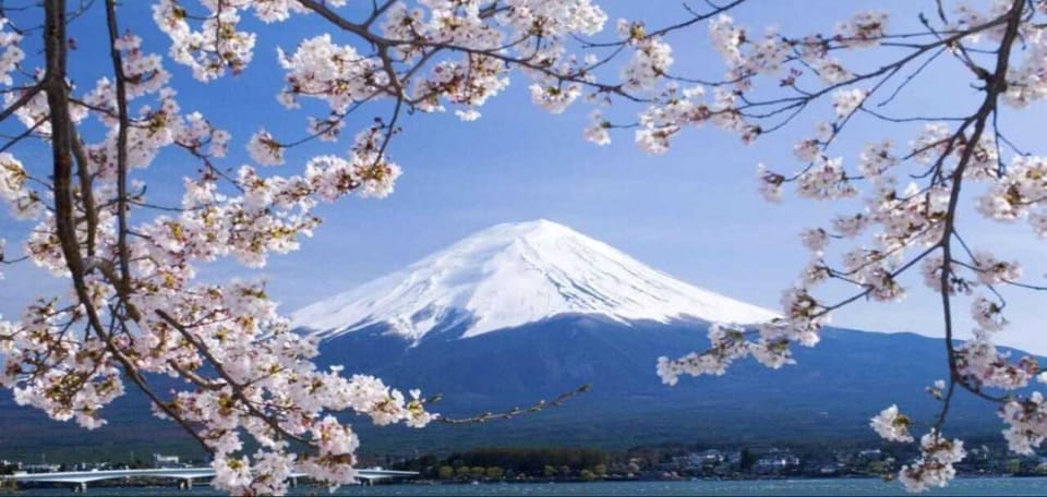 Private Mt. Fuji and Hakone Day Trip With Guide - Inclusions and Additional Costs