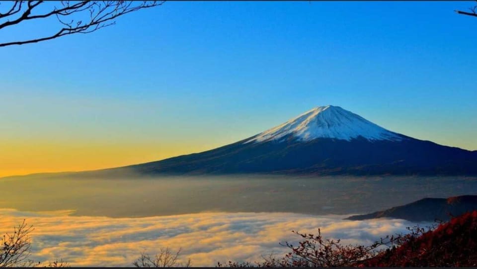 Private Mt. Fuji and Hakone Day Trip With Guide - Language Support and Guides