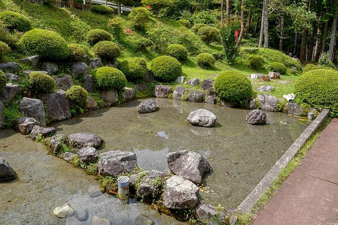 Private Mt. Fuji Catching Fish and BBQ Tour With Hotel Pick up - Health and Accessibility