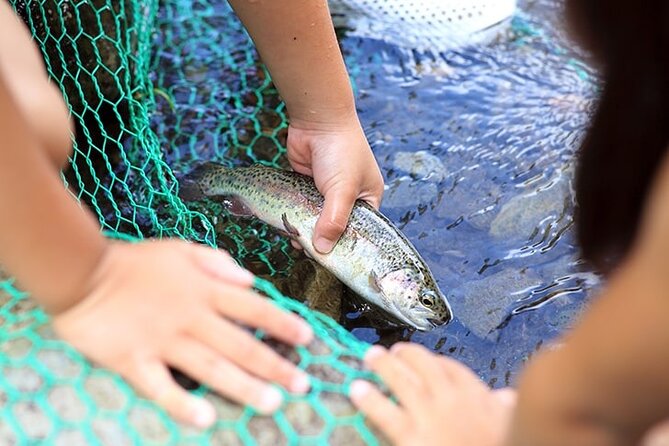 Private Mt. Fuji Catching Fish and BBQ Tour With Hotel Pick up - Reviews