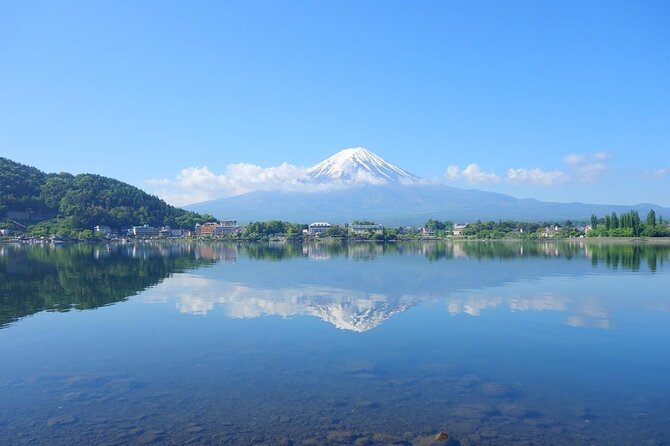 Private Mt. Fuji Custom Tour From Tokyo - Customization and Flexibility