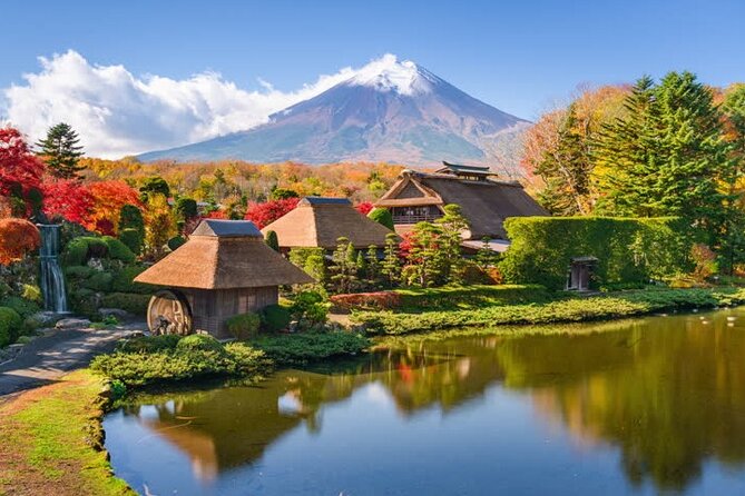 Private Mt. Fuji Custom Tour From Tokyo - Potential Drawbacks and Considerations