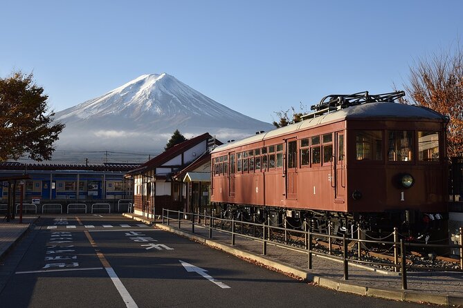 Private Mt Fuji, Hakone and Tokyo Tour - English Speaking Driver - Tour Conditions and Accessibility