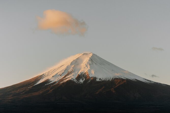 Private Mt Fuji, Hakone and Tokyo Tour - English Speaking Driver - Additional Options