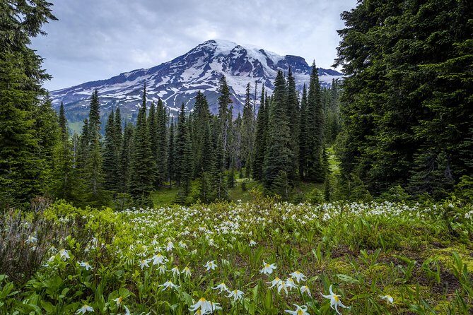 Private Mt Rainier National Park Day Trip from Seattle - Optional Lunch Break