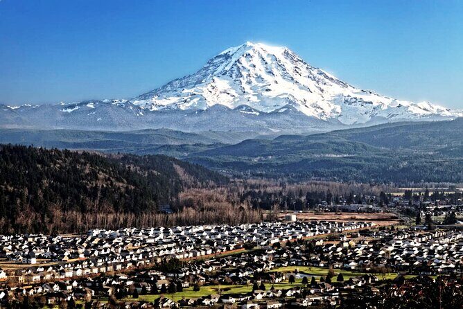 Private Mt Rainier National Park Tour in SUV - An In-Depth Look at the Mt. Rainier Private Tour