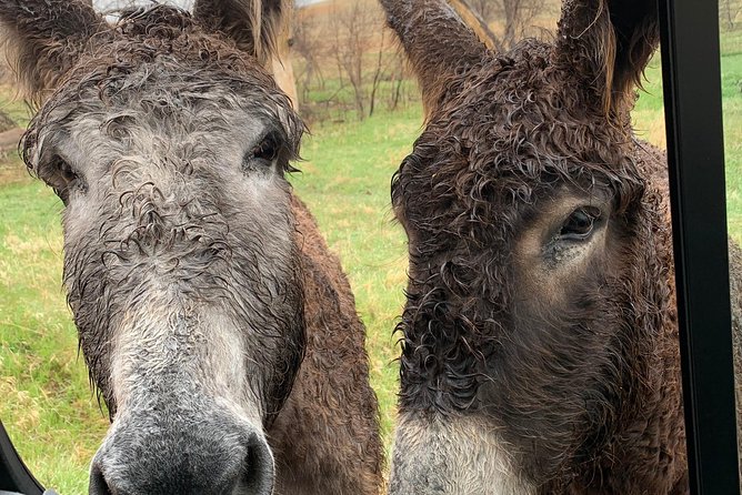 Private Mt Rushmore, Crazy Horse, Custer State Park Monument Tour - Dining Experience at Laughing Water Restaurant