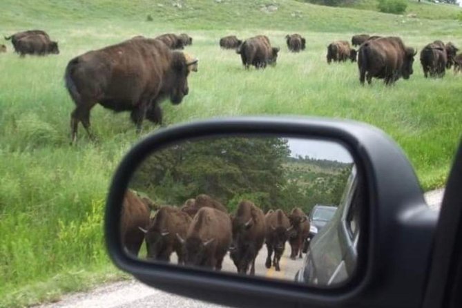 Private Mt Rushmore, Crazy Horse, Custer State Park Monument Tour - Frequently Asked Questions