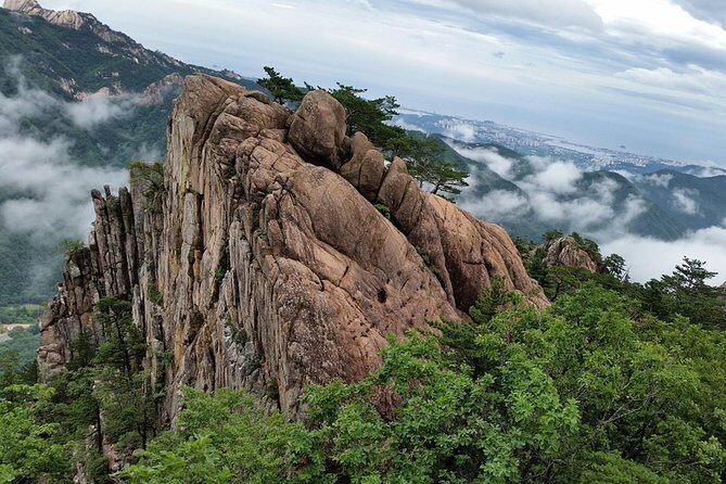 Private Mt.Seorak national park Tour and Sokcho - Local Cuisine and Optional Stops