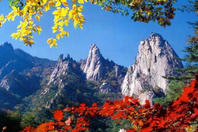 Private Mt.Seorak national park Tour and Sokcho - Authenticity and Overall Experience