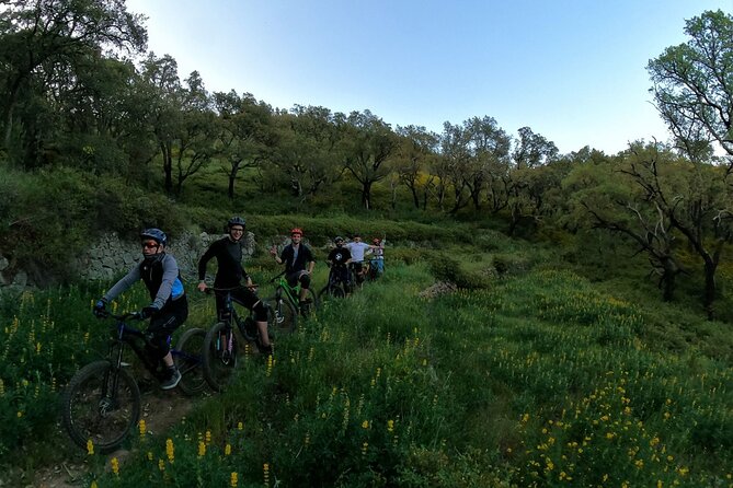 Private MTB Enduro Trail Tour in Sintra - Cascais Natural park - The Guide and Service