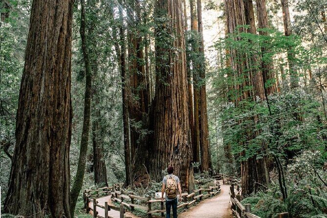 Private Muir Woods, Sausalito, and Marin Headlands Tour - Who Will Love This Tour?