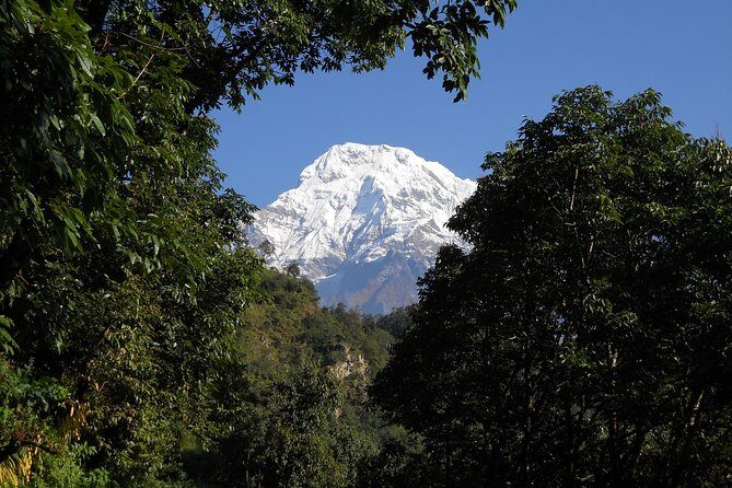 Private Multi Day Nepal Poon Hill Trekking Tour - FAQ