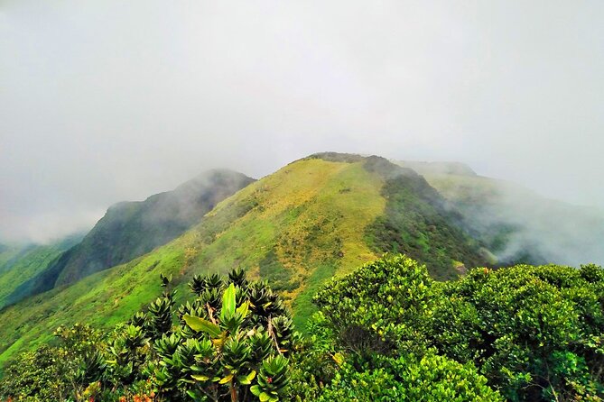 Private Multi-Day Sri Lanka Treks and Hikes Tour - In Closing