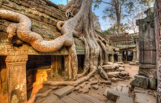 Private Multi-Day VIP Tour in Siem Reap - Key Points