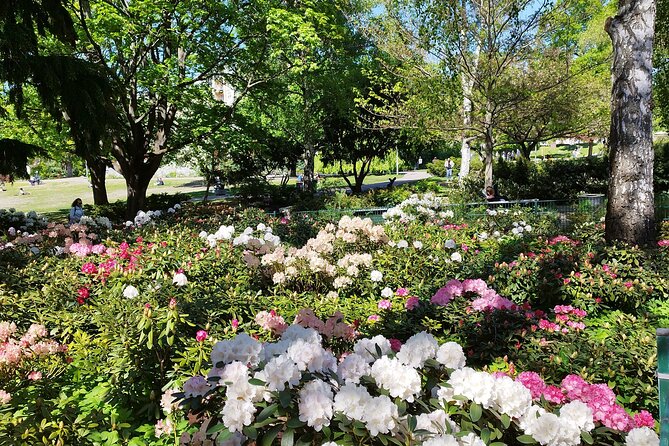 Private (multi)Berlin Rickshaws Highlights Taylor Made - Since You Asked