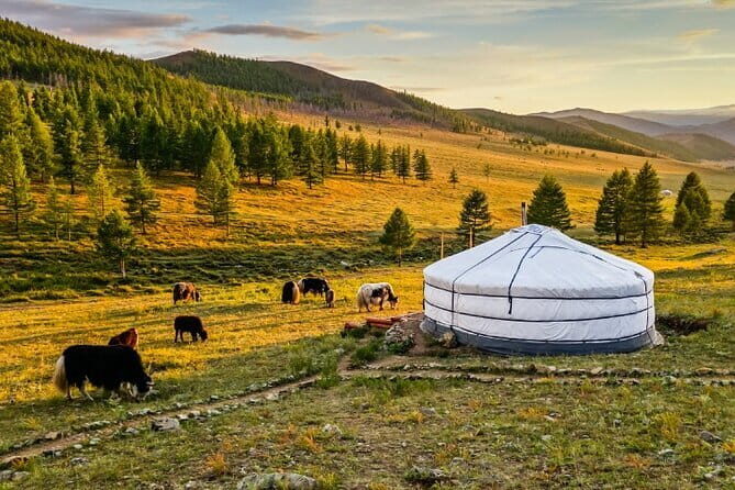 Private Multiday Tour in Gobi Desert - Final Thoughts