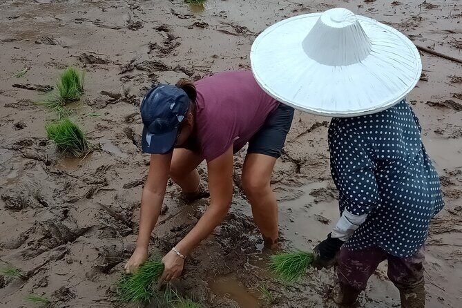 Private Multiday Tour in Minangkabau with accommodation 4 days - Authenticity and Value