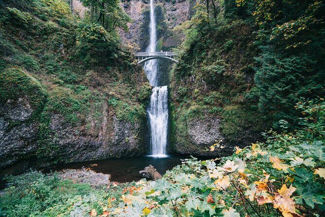 Private Multnomah Falls, Train Ride, & Wine Tour - Discovering Oregon’s Iconic Sights and Flavors