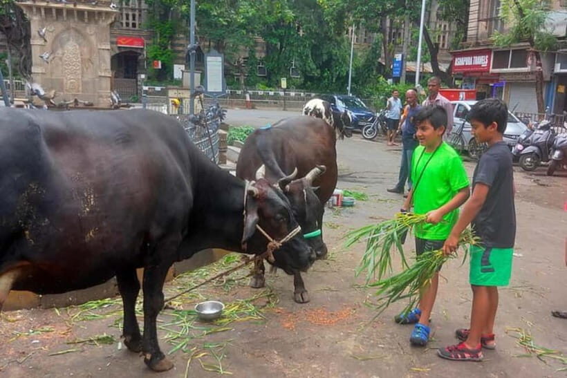 Private Mumbai Sightseeing Tour - Key Points