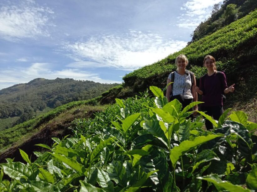 Private Munnar Tea Trek - A Closer Look at the Munnar Tea Trek