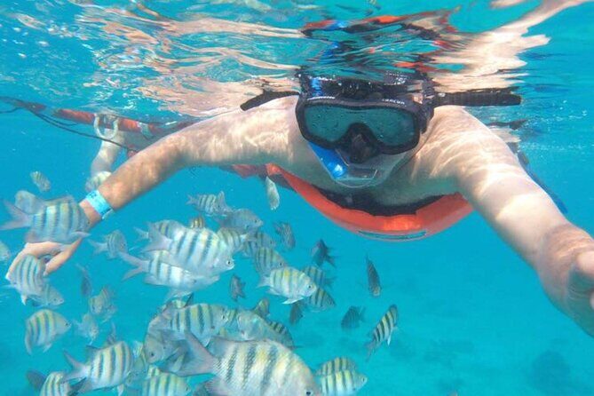 Private MUSA Snorkeling Experience at Isla Mujeres and Cancun - The Booking and Planning Process