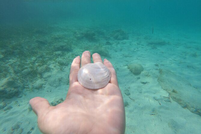 Private MUSA Snorkeling Experience at Isla Mujeres and Cancun - Overall Impression and Who It’s For