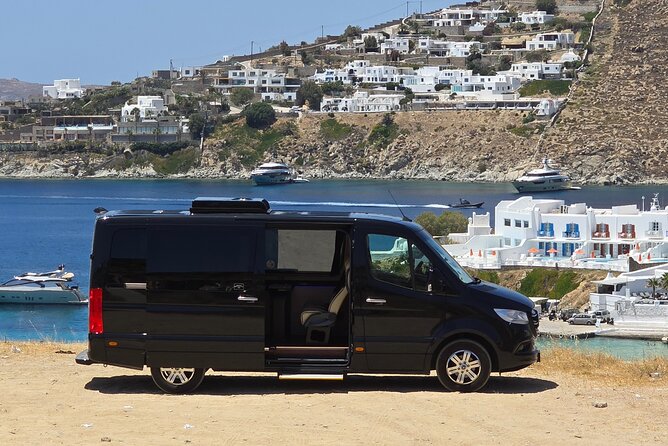 Private Mykonos Island tour by Luxury Minibus up to 11 passengers - The Value of This Tour: What Travelers Really Think