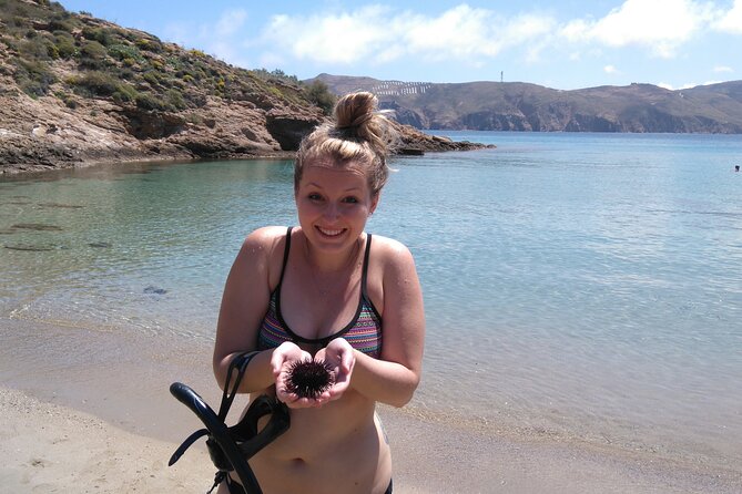 Private Mykonos Nature Tour by Minibus - Participant Experience and Reviews