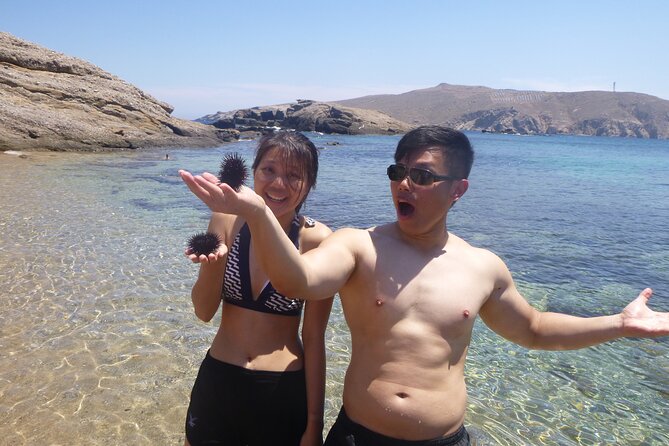 Private Mykonos Nature Tour by Minibus - Highlights of the Tour