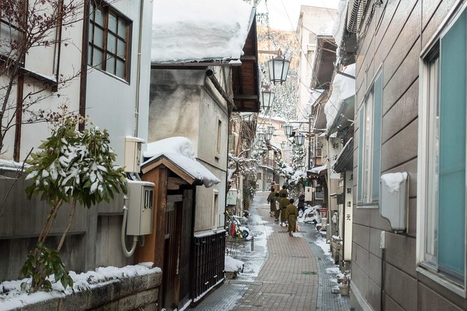 Private Nagano 1-Day Tour:Snow Monkeys,Zenko-ji,Obuse,Sake,Onsen - Attractions and Highlights