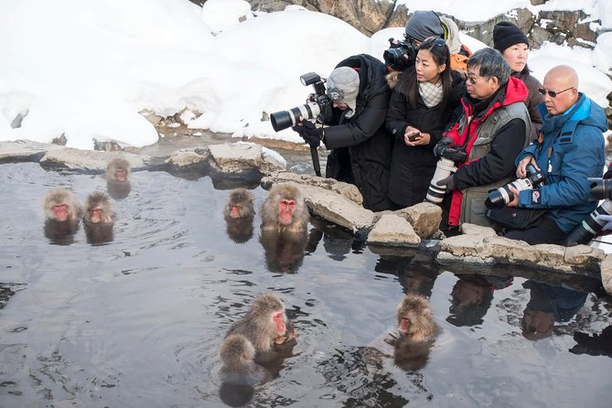 Private Nagano 1-Day Tour:Snow Monkeys,Zenko-ji,Obuse,Sake,Onsen - Inclusions and Requirements