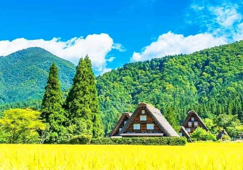 Private Nagoya & Shirakawa-go w/ English Driver - An In-Depth Look at the Experience