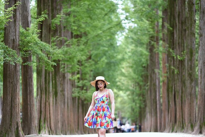 Private Nami Island Photo Shoot and Tour with a Photographer - The Itinerary in Detail