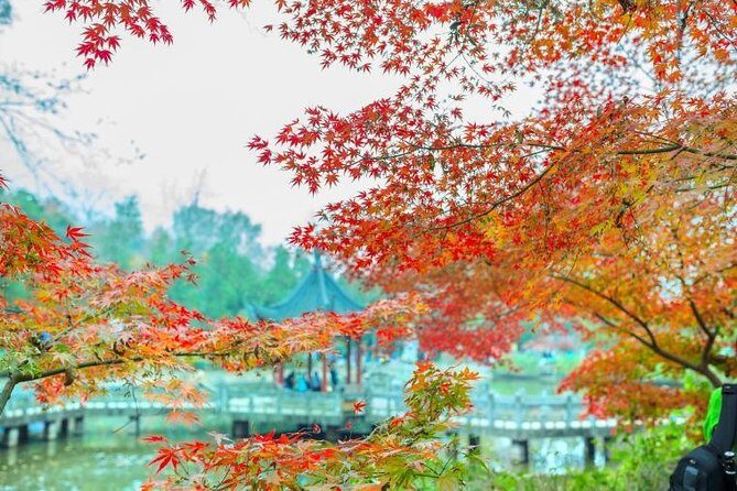 Private Nanjing Layover Tour to Qixia Mountain - The Itinerary in Detail