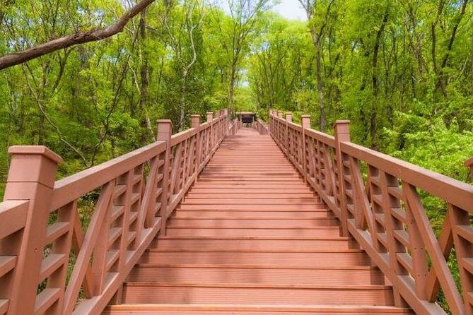 Private Nanjing Layover Tour to Qixia Mountain - The Sum Up: Who Should Consider This Tour?