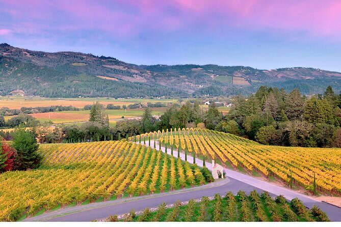 Private Napa Wine Tour Up To 6 Guests - Key Points:
