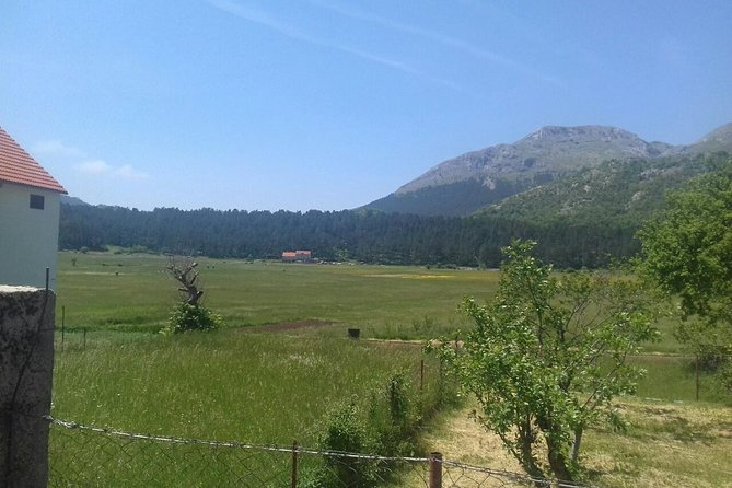 Private National Park Lovcen With Food and Wine Tasting - Traveler Feedback and Recommendations