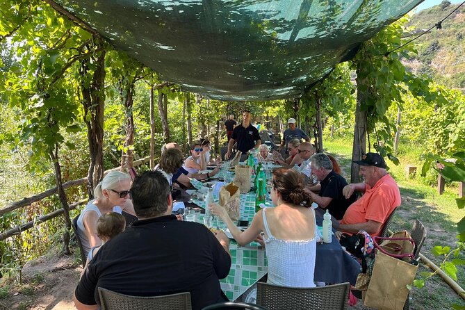 Private Natural Wine Vs Byodinamic and Organic Wine Tour - The Sum Up