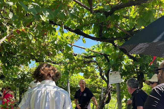 Private Natural Wine Vs Byodinamic and Organic Wine Tour - FAQ